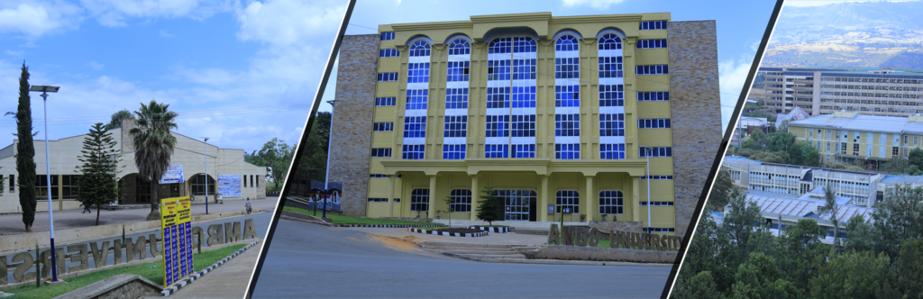 College of Natural and Computational Science